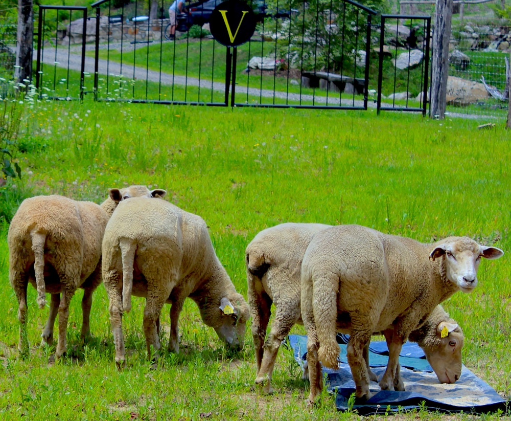 Opulent Barn Farmstay