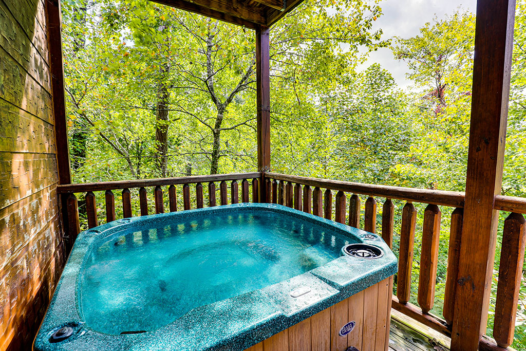 Mountain Treasure | Venture Smoky Mountains