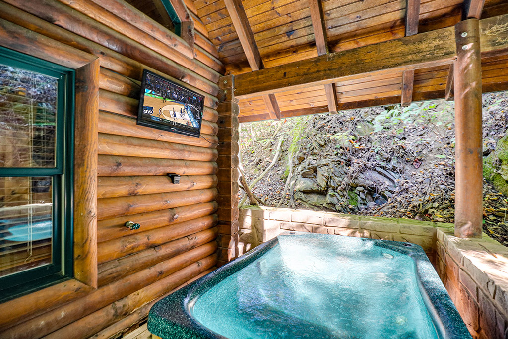 1BR Dog-Friendly Cabin with Outdoor Hot Tub & Indoor Jacuzzi | Venture ...