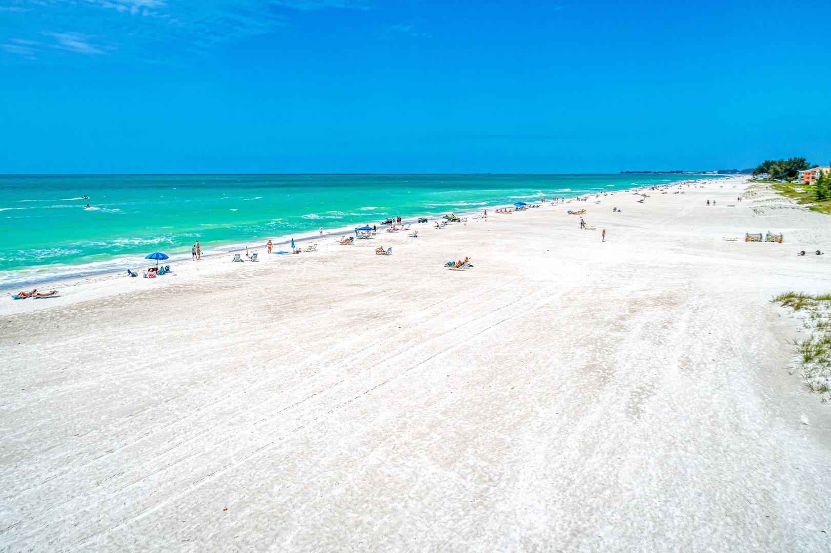 Anna Maria Island Beach Watch